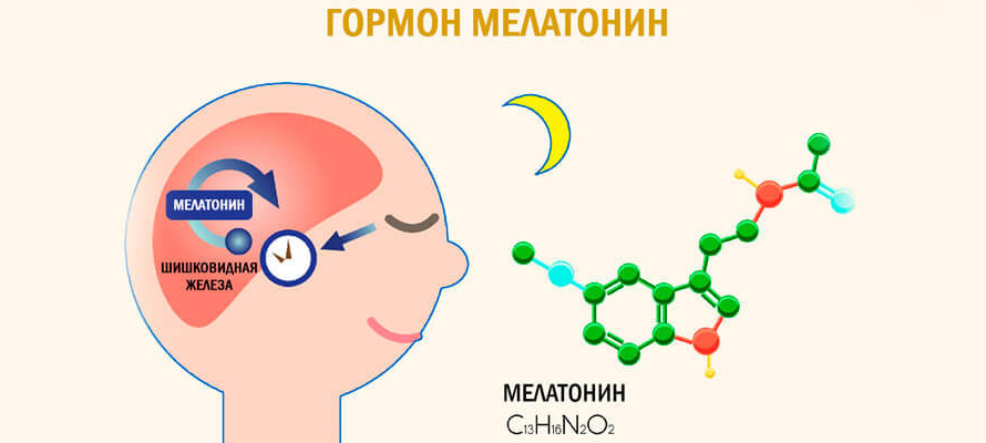 Меланорм: природный мелатонин для здорового сна
